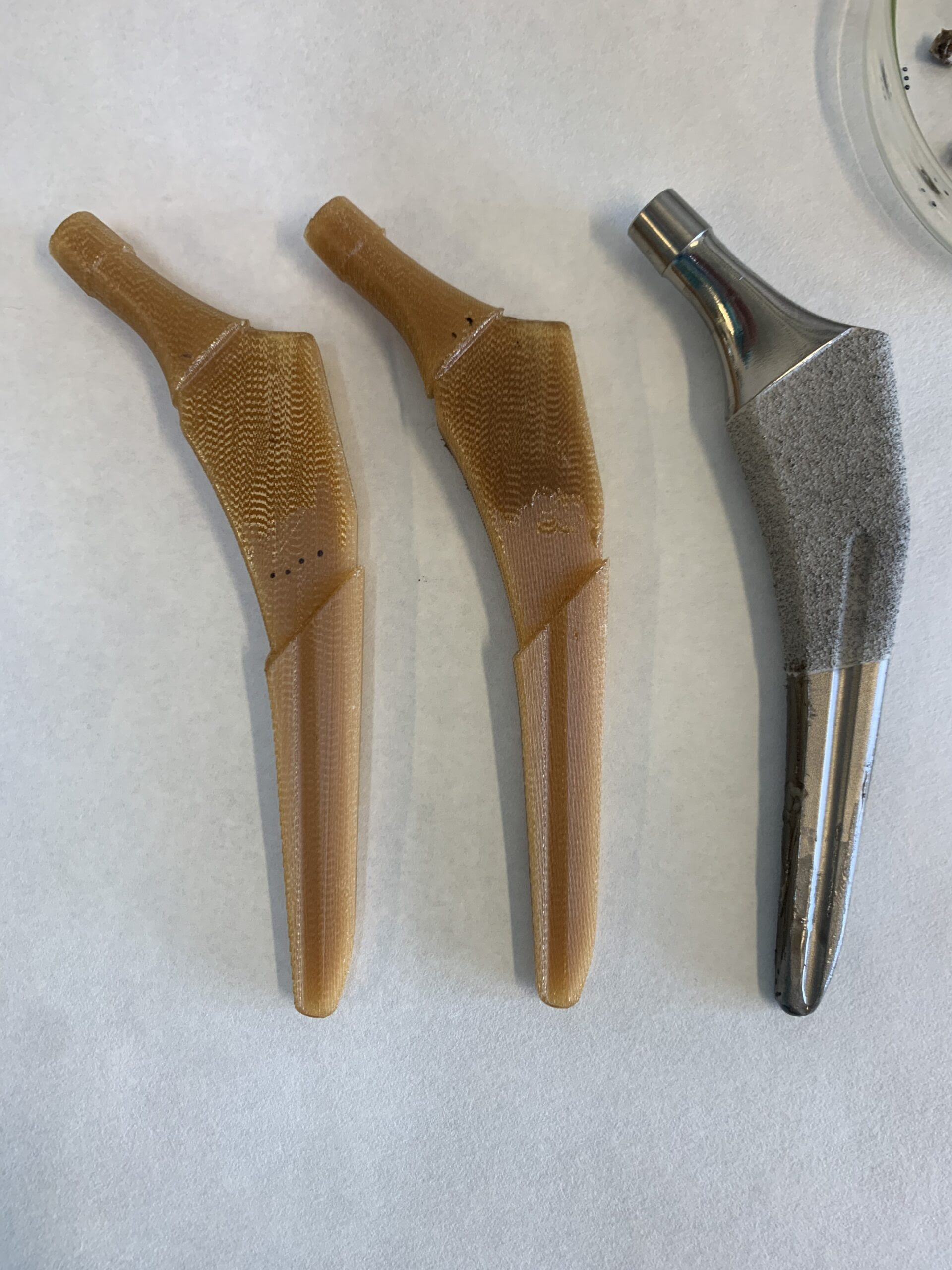 Diseñan un biomaterial basado en residuos de remolacha para regenerar ...