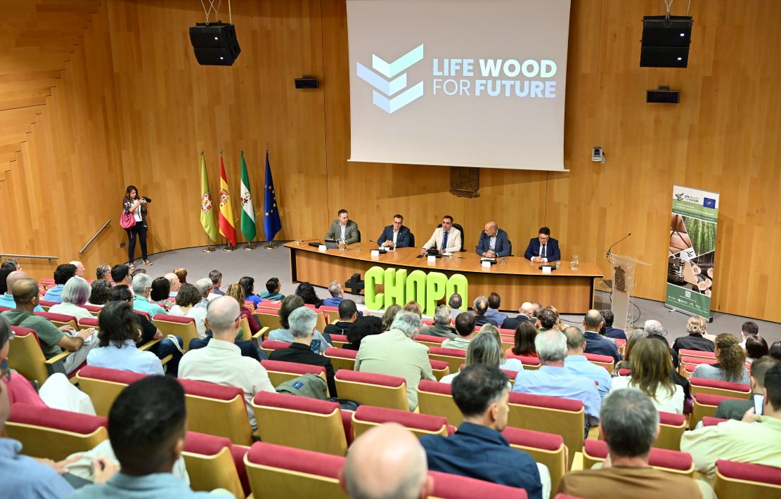 Granada impulsa la recuperación del chopo con LIFE Wood for Future: 40 ...